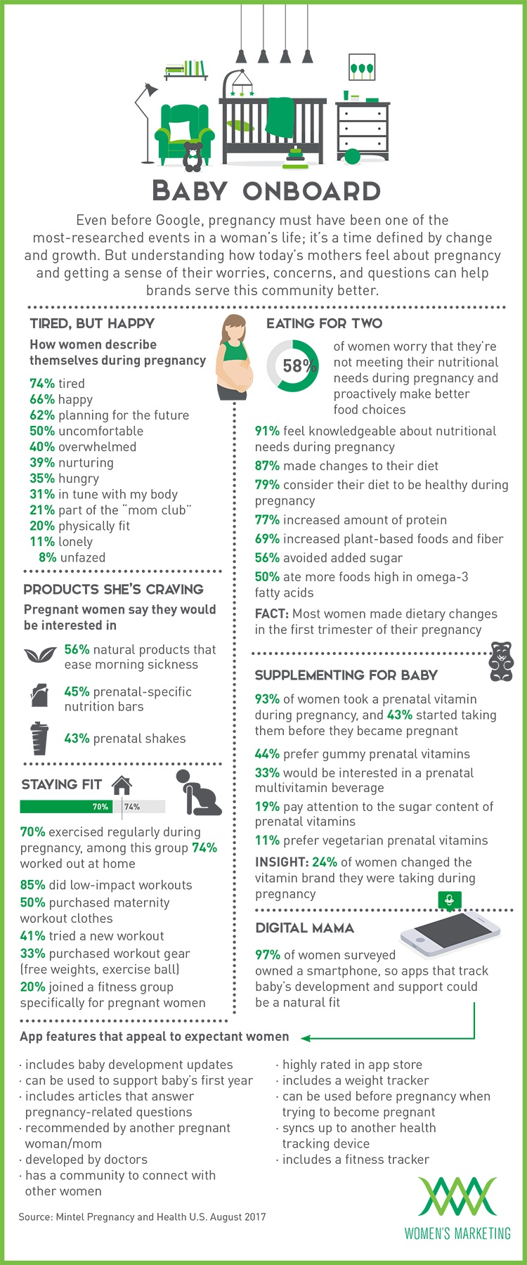 Infographic: Marketing to Moms Women's Concerns During Pregnancy | WMI