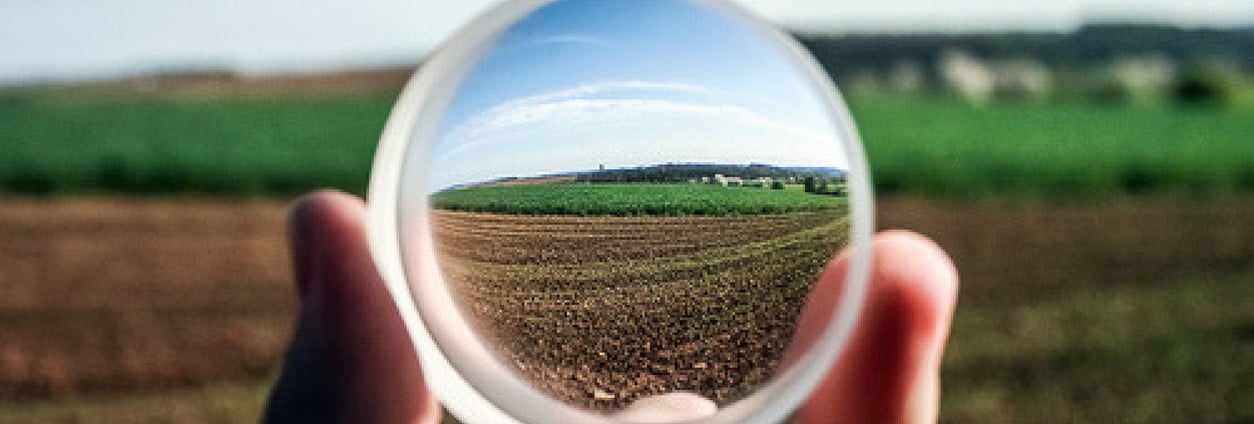 Consumer Trends 2018: Brands Inside the Glass Box