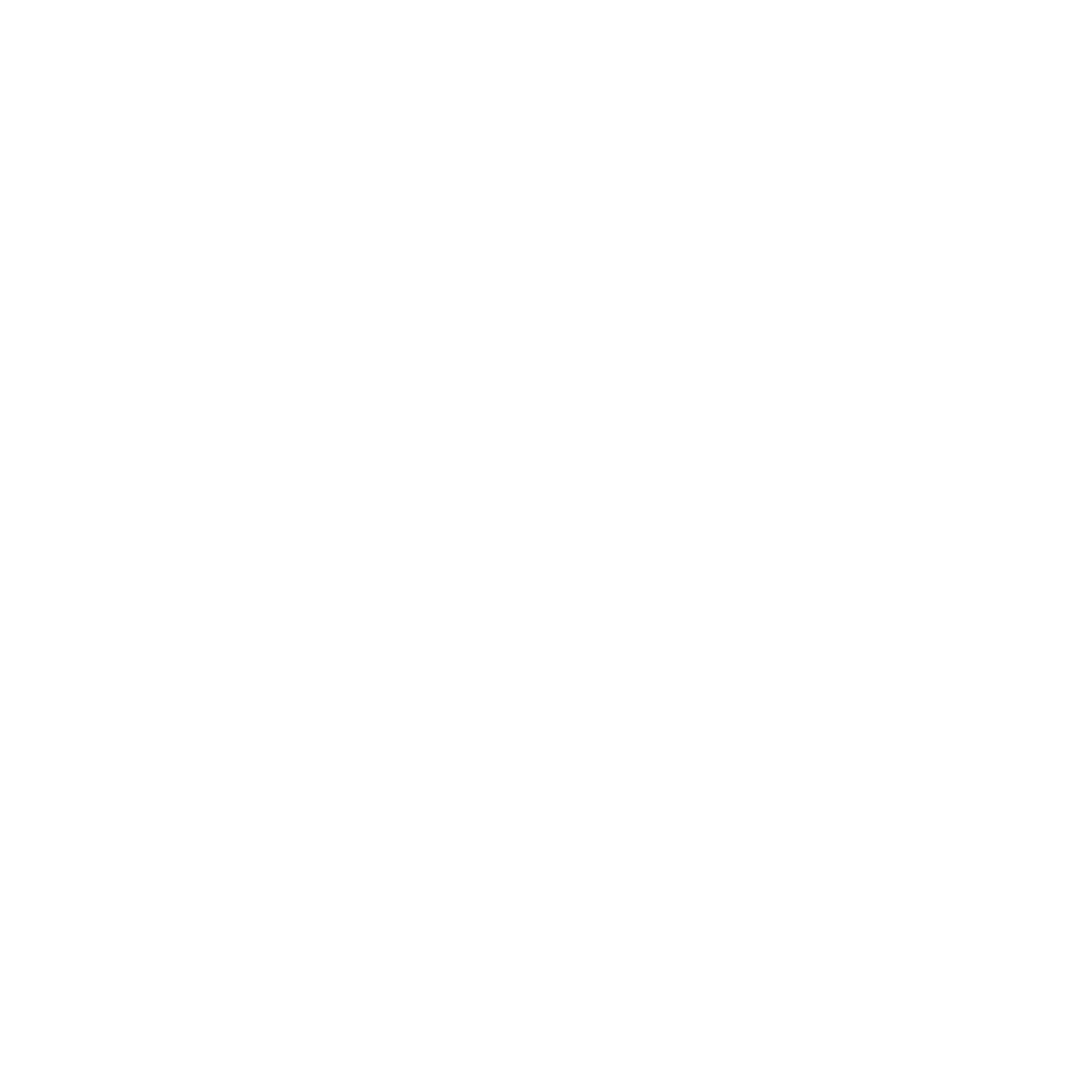 Stella Rising | Digital Media & Marketing Agency